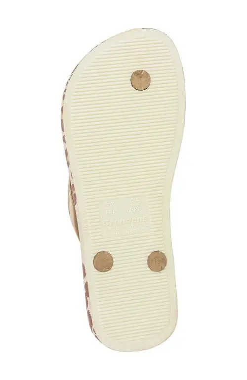 Ipanema Animale Print Iii Flip Flop