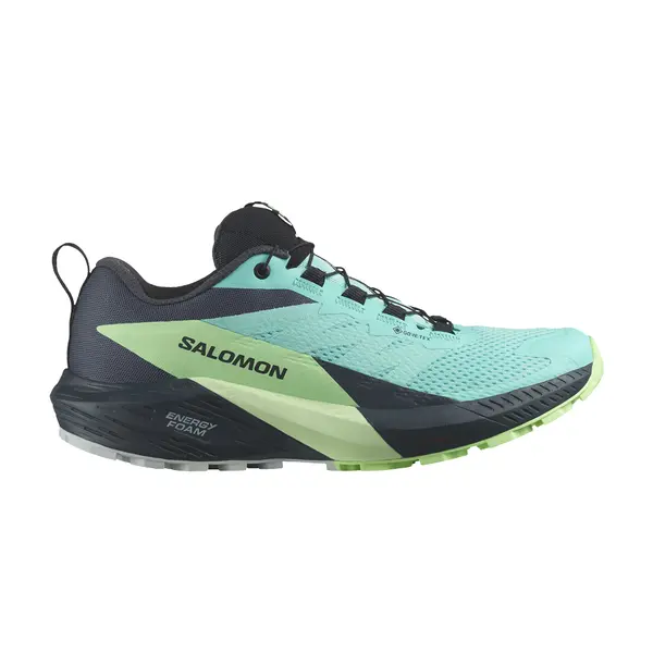 SALOMON Sense Ride Gore-tex Sneakers - Blue
