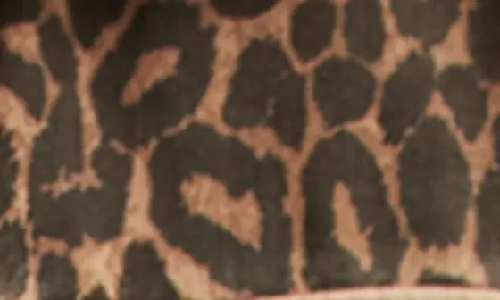 ALLSAINTS Finch Camo Leopard Mixed Print Cotton Jacket