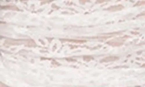 EDIKTED Eleanor Sheer Lace Camisole - White