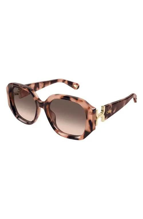 Chloé 56mm Square Sunglasses - Havana