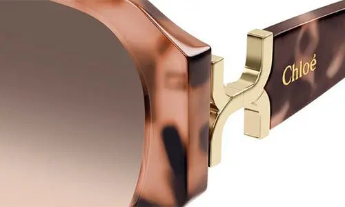 Chloé 56mm Square Sunglasses - Havana
