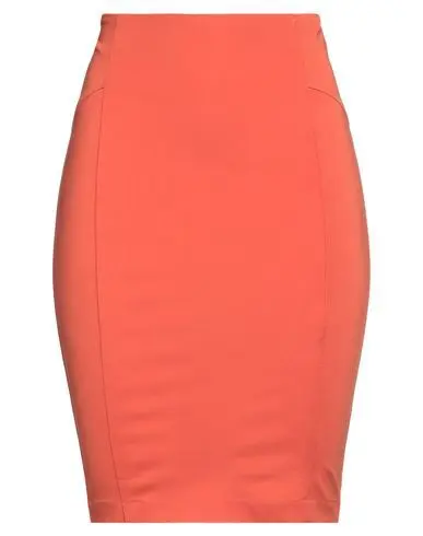 Pinko Mini Pencil Skirt