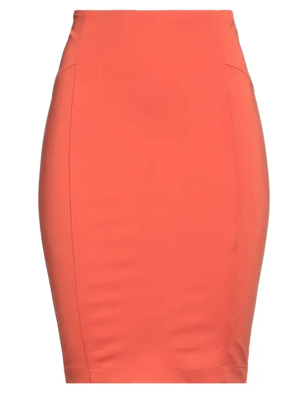 Pinko Mini Pencil Skirt