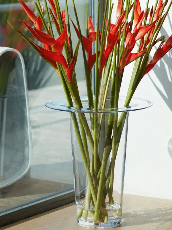 LSA INTERNATIONAL Medium Victoria Glass Vase