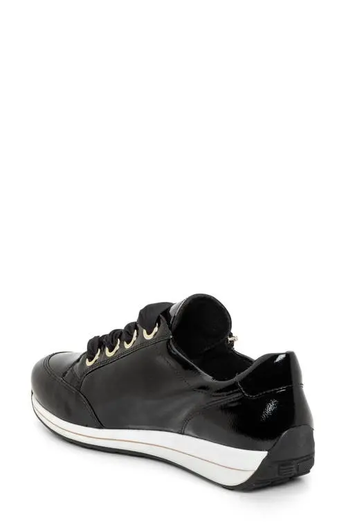 ARA Ollie Sneaker - Black/gold