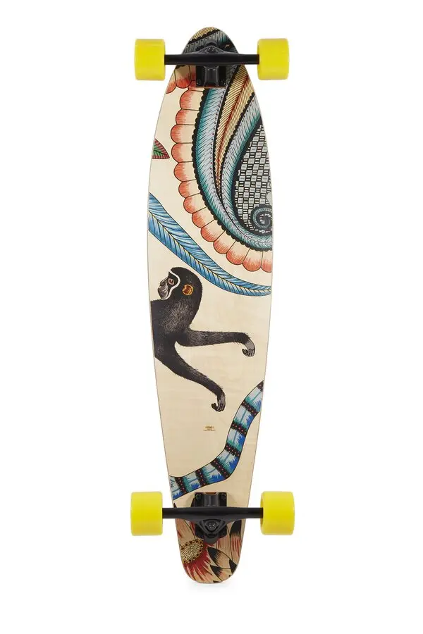 Hermès Multicolor Savana Dance Wood Long Board