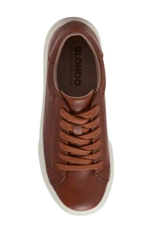 Blondo Venna Waterproof Leather Sneaker - Tan Leathe