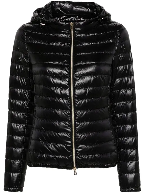 Herno Padded Hooded Jacket - Black