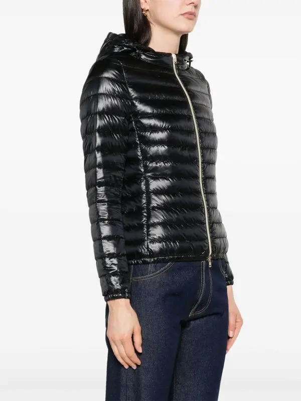 Herno Padded Hooded Jacket - Black