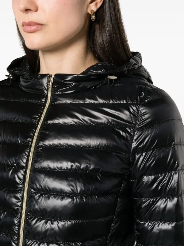 Herno Padded Hooded Jacket - Black