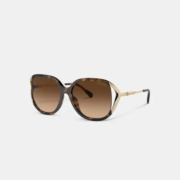 COACH Bandit Oversized Square Sunglasses - Dark Tortoise/gold