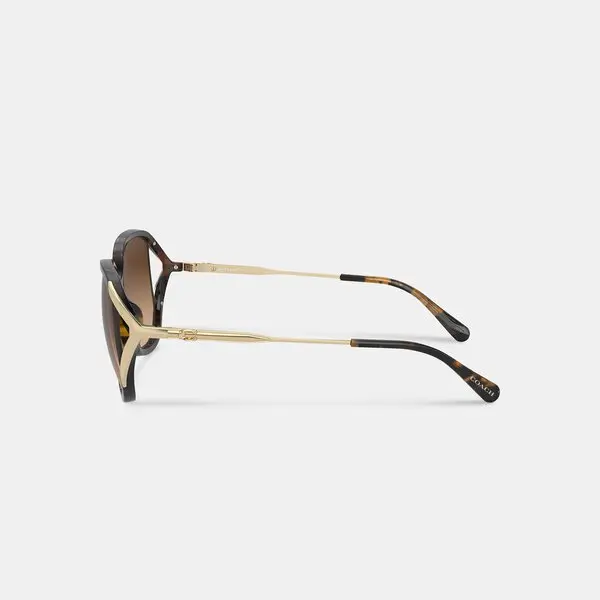 COACH Bandit Oversized Square Sunglasses - Dark Tortoise/gold