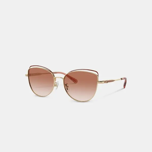 COACH Bandit Wire Oval Sunglasses - Pink/brown
