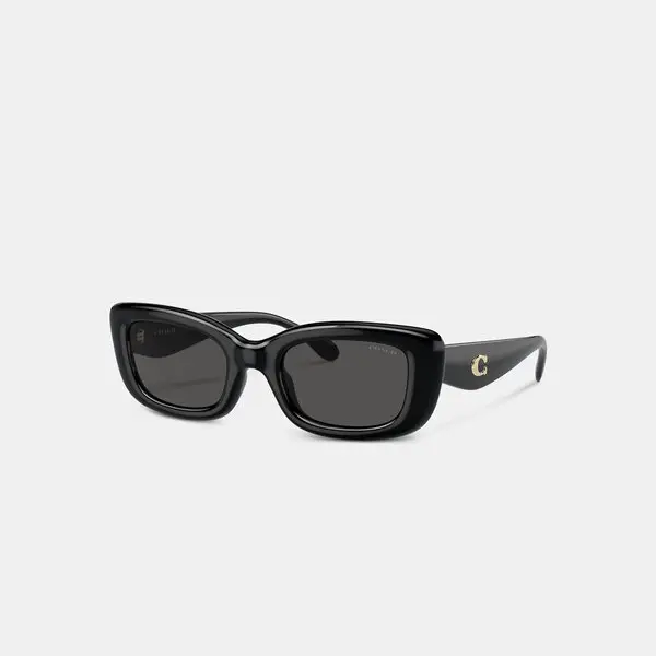 COACH C Hardware Narrow Rectangle Sunglasses - Black