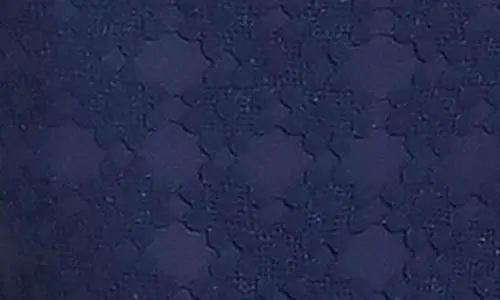 Petal & Pup Lauren Lace Overlay Dress - Navy | Editorialist