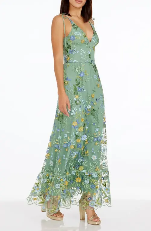 Dress The Population Sunny Embroidered Floral A-line Gown