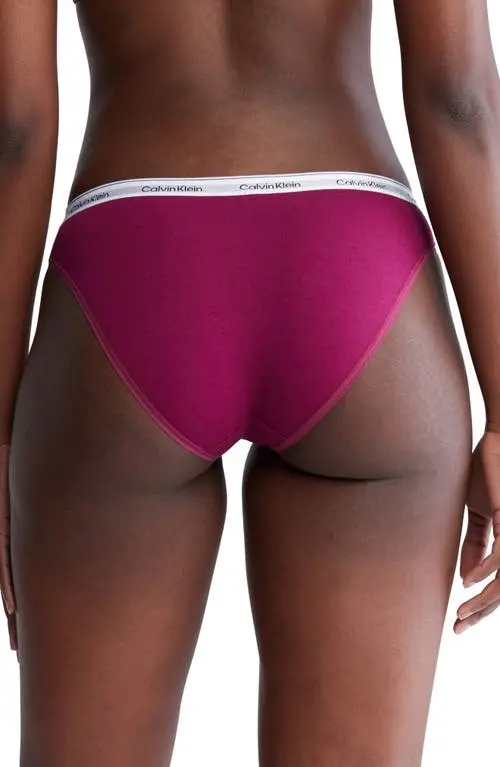 Calvin Klein Assorted 3-pack Logo Bikinis - Purple