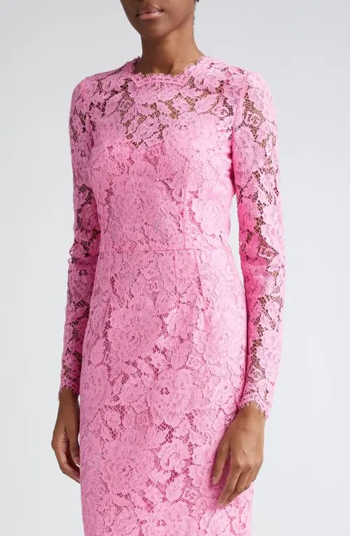 Dolce & Gabbana Long Sleeve Cordonetto Lace Sheath Dress - Rosa