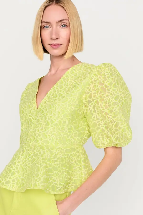 MARIE OLIVER Everly Embroidered Organza Top