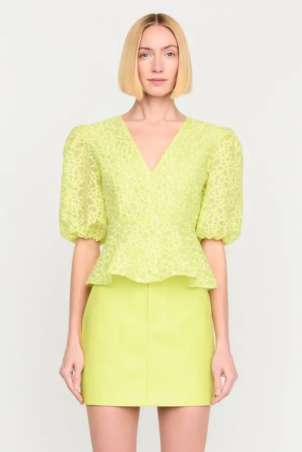MARIE OLIVER Everly Embroidered Organza Top