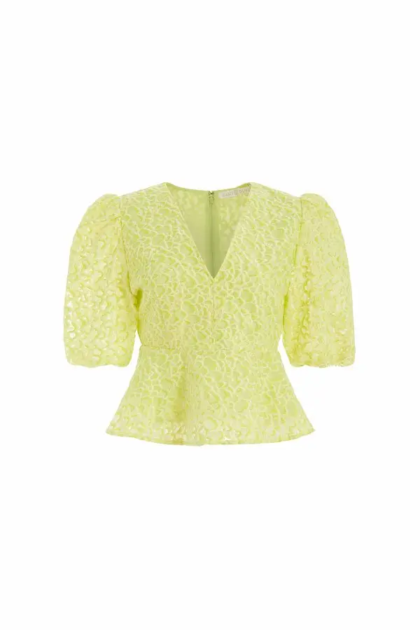 MARIE OLIVER Everly Embroidered Organza Top