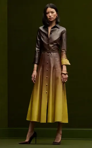 Oscar De La Renta Ombre Button-Front Leather Midi Dress - Brown |  Editorialist