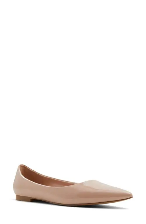 Aldo Stessy Pointed Toe Flat - Bone