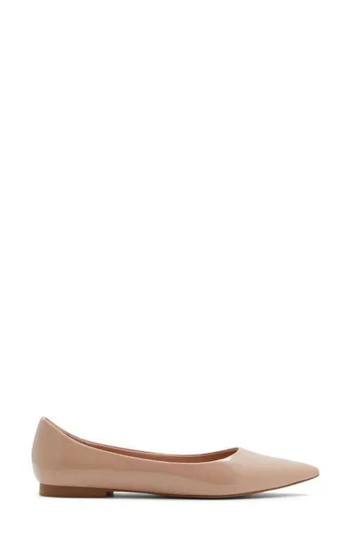 Aldo Stessy Pointed Toe Flat - Bone