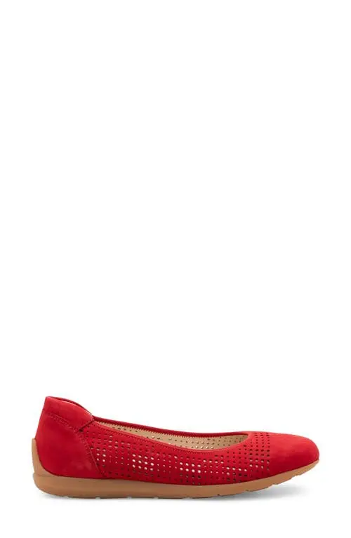 ARA Sh Perf Flat - Flame Red