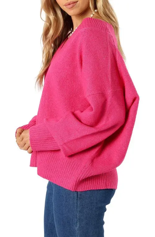 PETAL & PUP Palmer V-neck Sweater