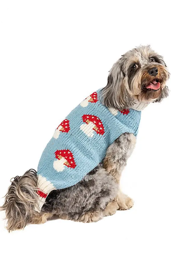 CHILLY DOG Mushroom Dog Sweater - Cerulean Blue