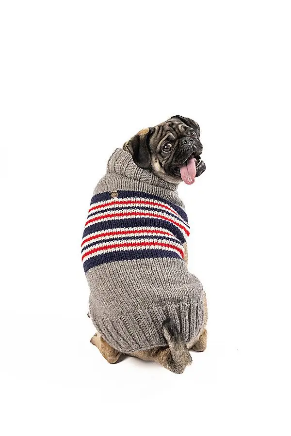 CHILLY DOG Charlie Stripe Dog Sweater - White