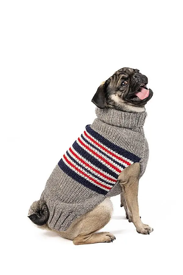 CHILLY DOG Charlie Stripe Dog Sweater - White