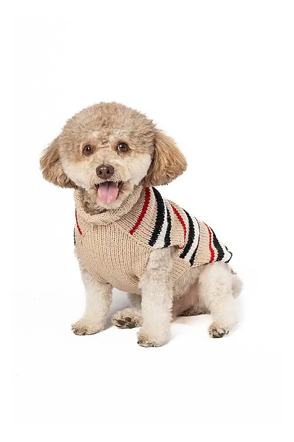 CHILLY DOG Bentley Stripe Dog Sweater - White
