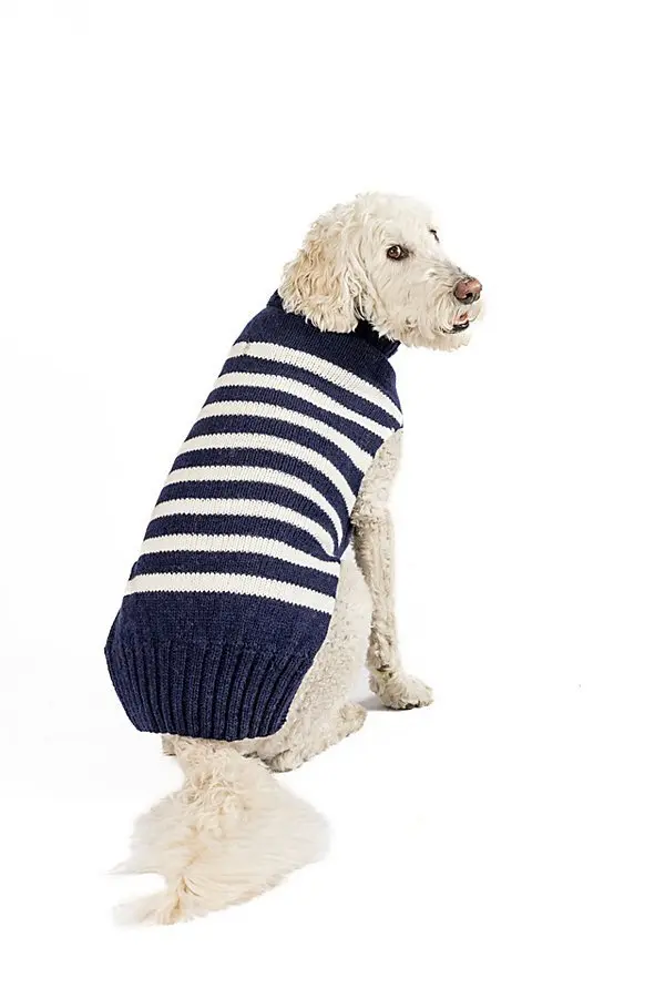 CHILLY DOG Flynn Stripe Dog Sweater - White