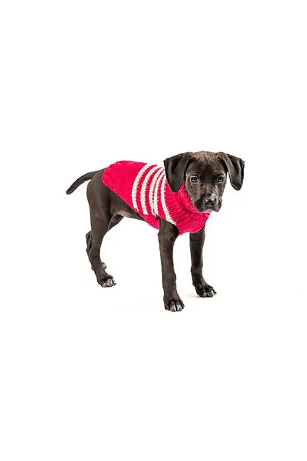 CHILLY DOG Striped Dog Sweater