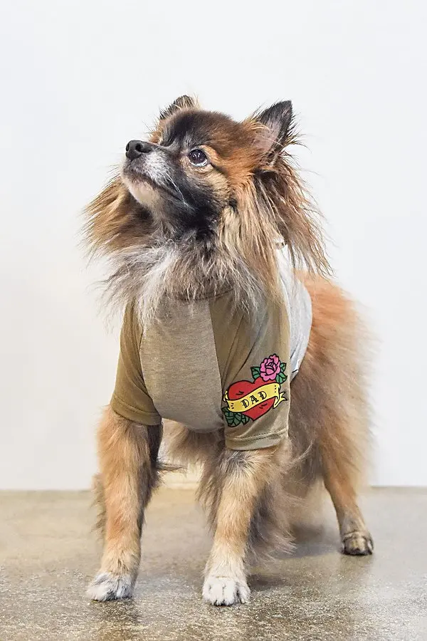 MODERNBEAST Dad Tattoo Tee - Olive