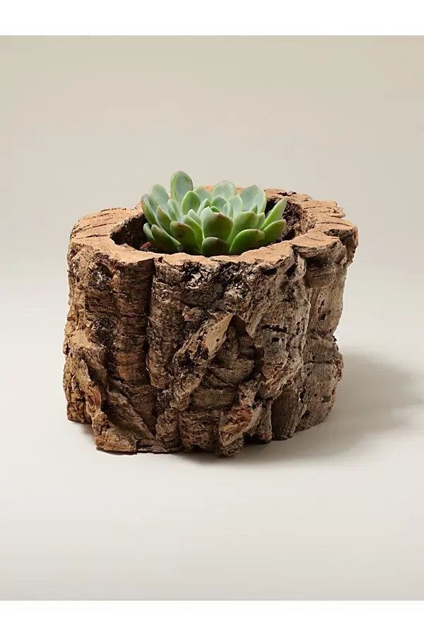 TIRADIA CORK Bark Planter - Natural Cork