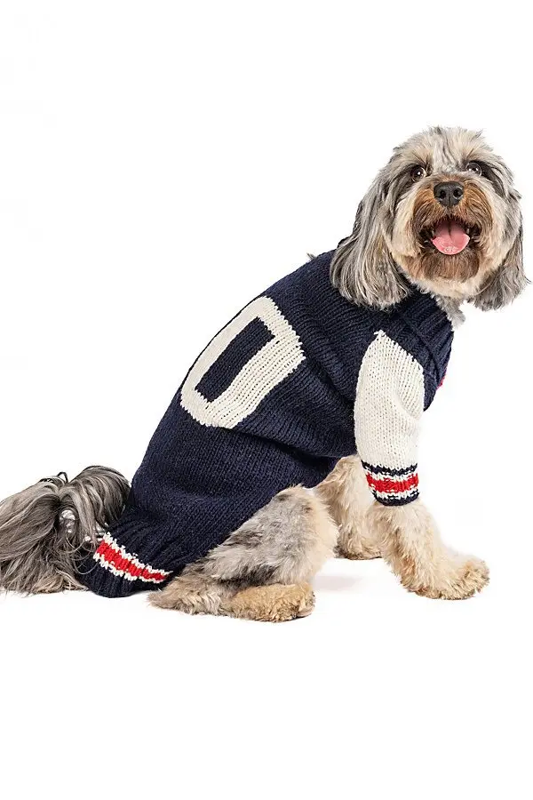 CHILLY DOG Varsity Knit Sweater
