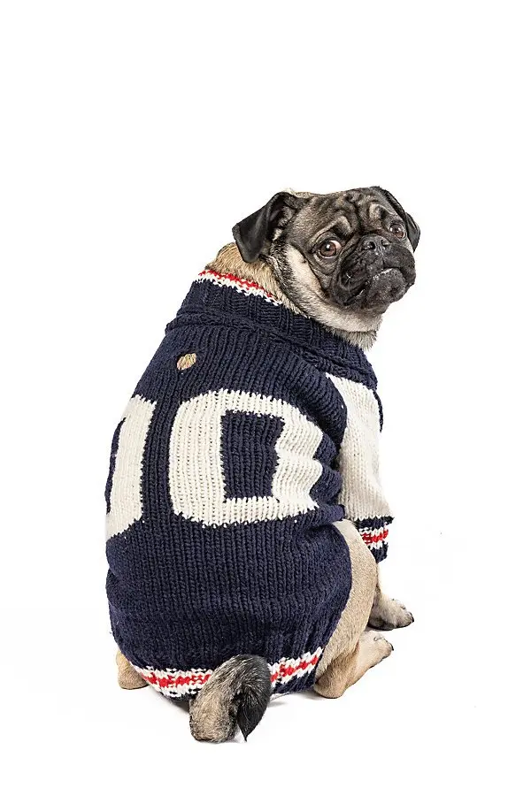 CHILLY DOG Varsity Knit Sweater