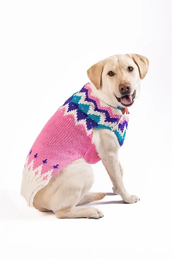 CHILLY DOG Ski Bum Fairisle Dog Sweater - Pink