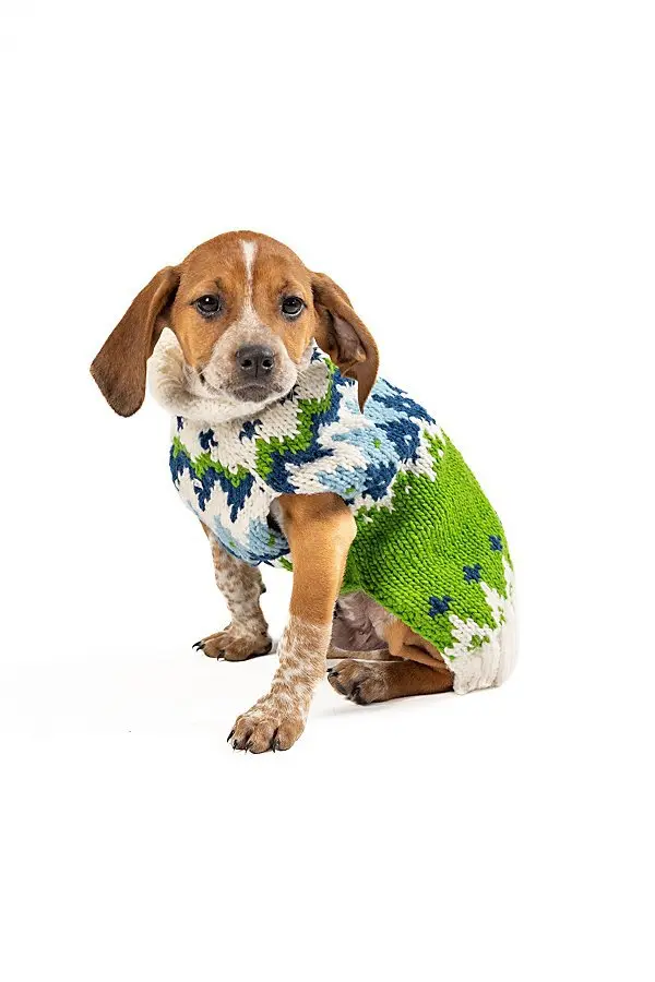 CHILLY DOG Fairisle Dog Sweater