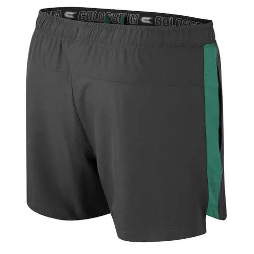 COLOSSEUM Baylor Bears Langmore Shorts