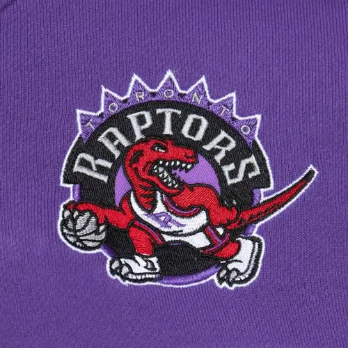 Mitchell & Ness Purple Toronto Raptors Head Coach Pullover Hoodie