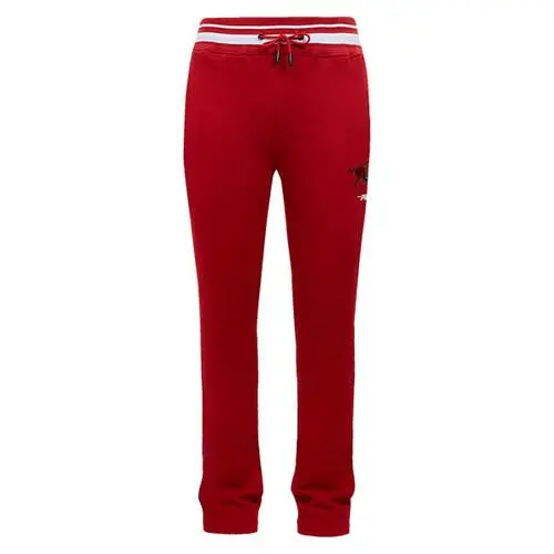 PRO STANDARD Arkansas Razorbacks Script Tail Fleece Sweatpants