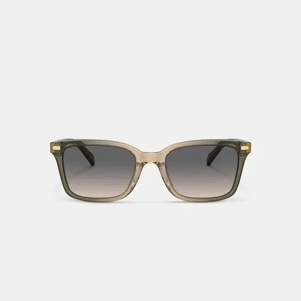COACH® Narrow Square Sunglasses - Green/tan Gradient