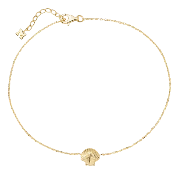 Mateo Venus 14-karat Seashell Anklet - Gold