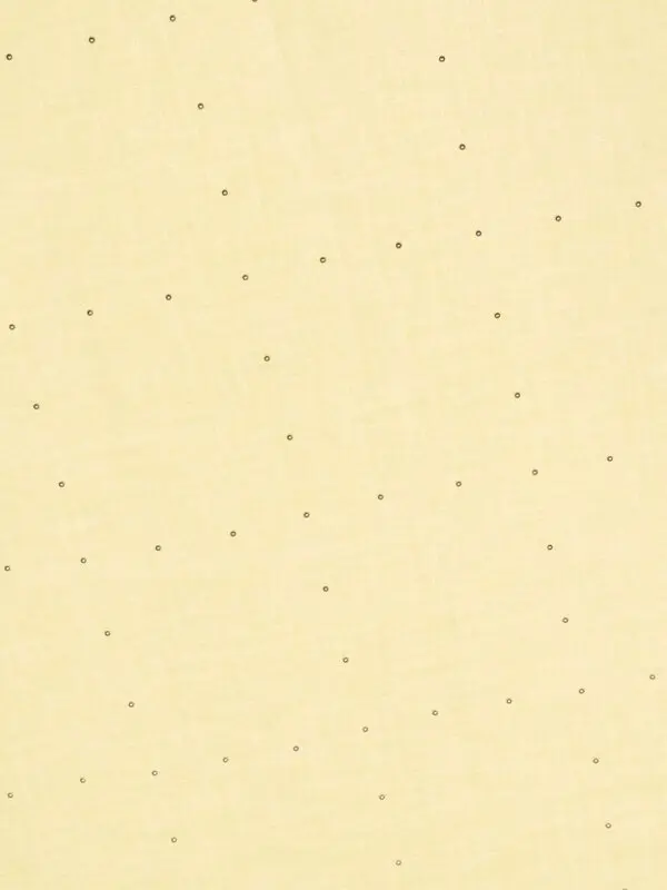 Fabiana Filippi Stud-detail Poplin Scarf