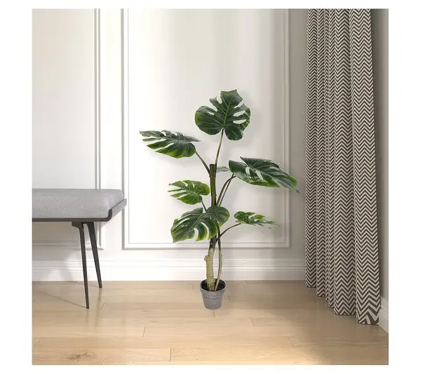 money tree leaves Money Tree Plant with Planter - Small (12